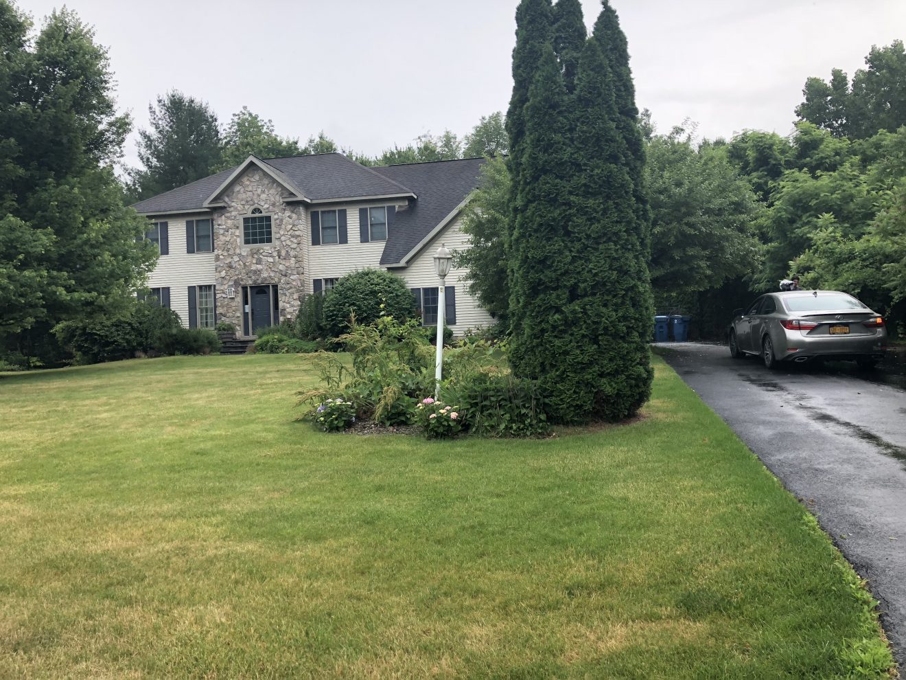 Where is Pam Cafritz’s Body? - Frank Report