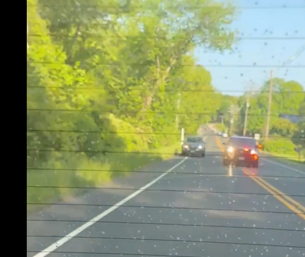 Family Court Gave the Kids to a Psychopath? Chris Ambrose Scores 32 on ...